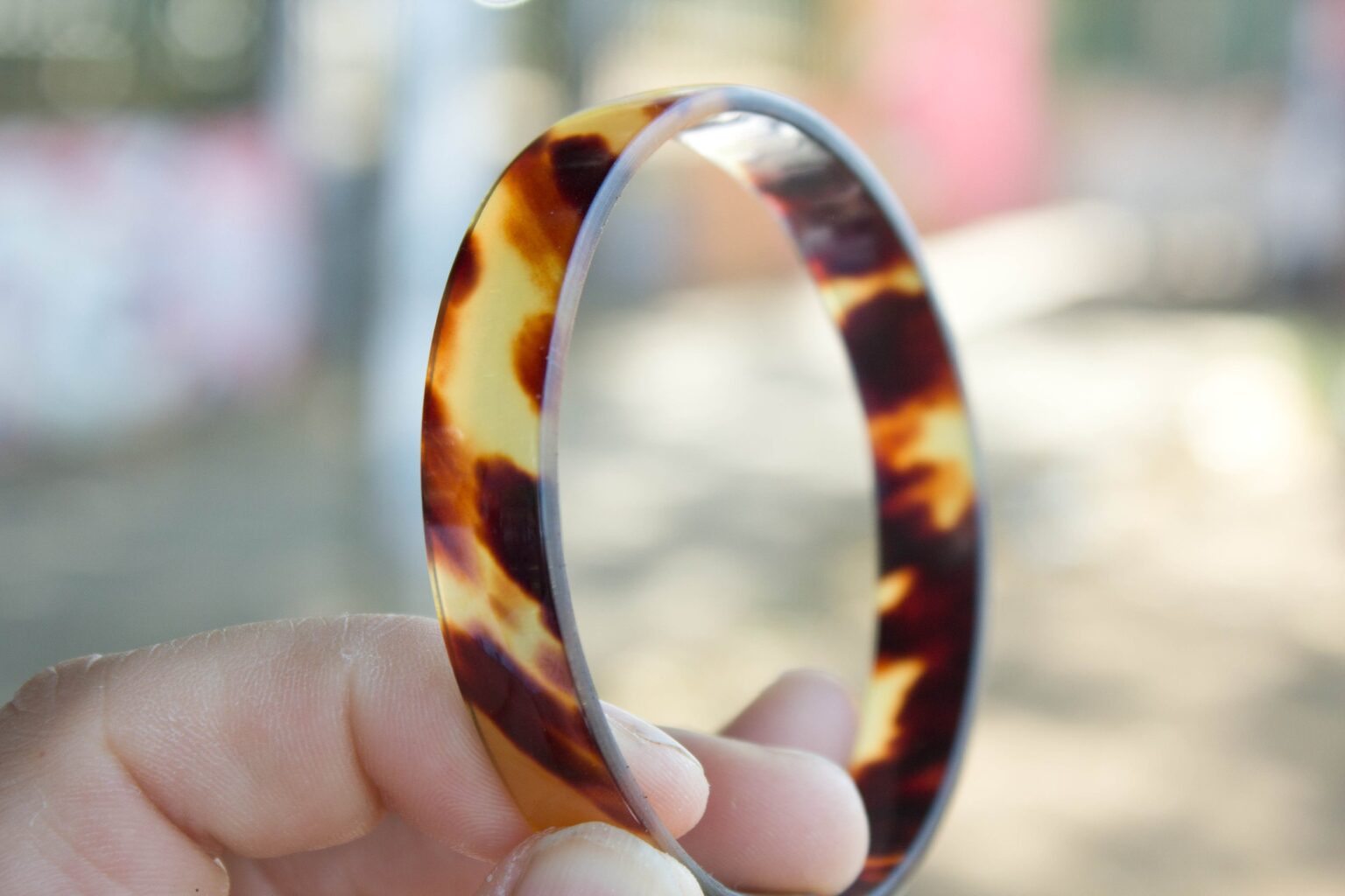 SEE Shell, la aplicación que busca combatir el tráfico de caparazones ...