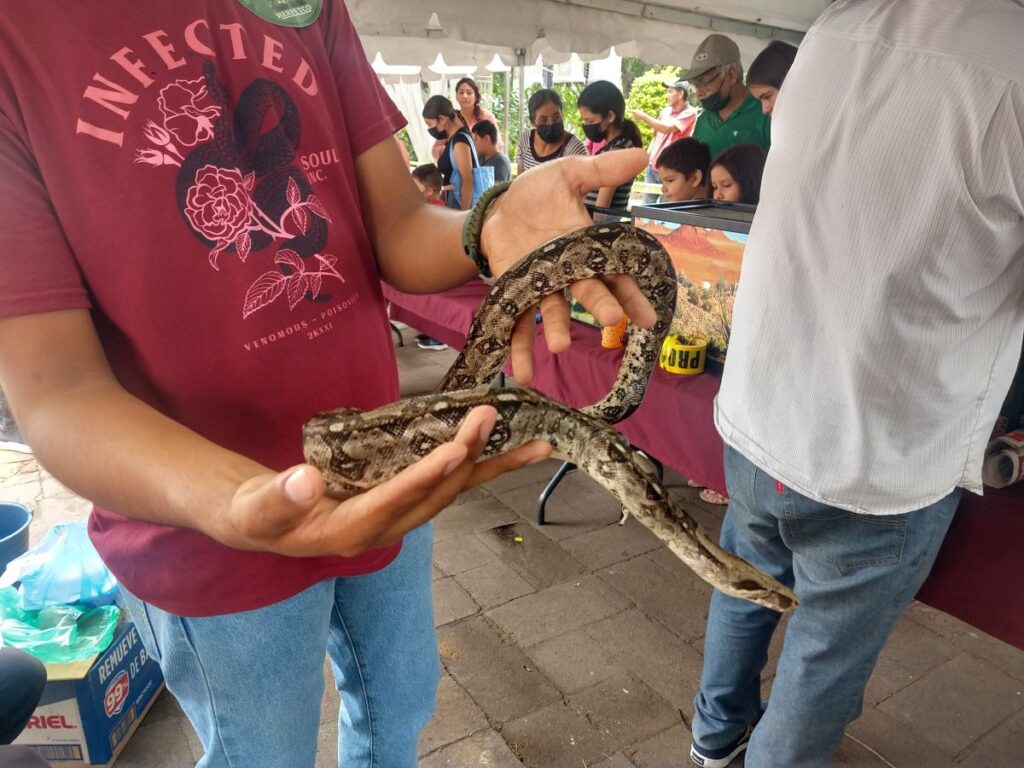 Autlán celebra Día Internacional de la Serpiente con "Exposición de ...