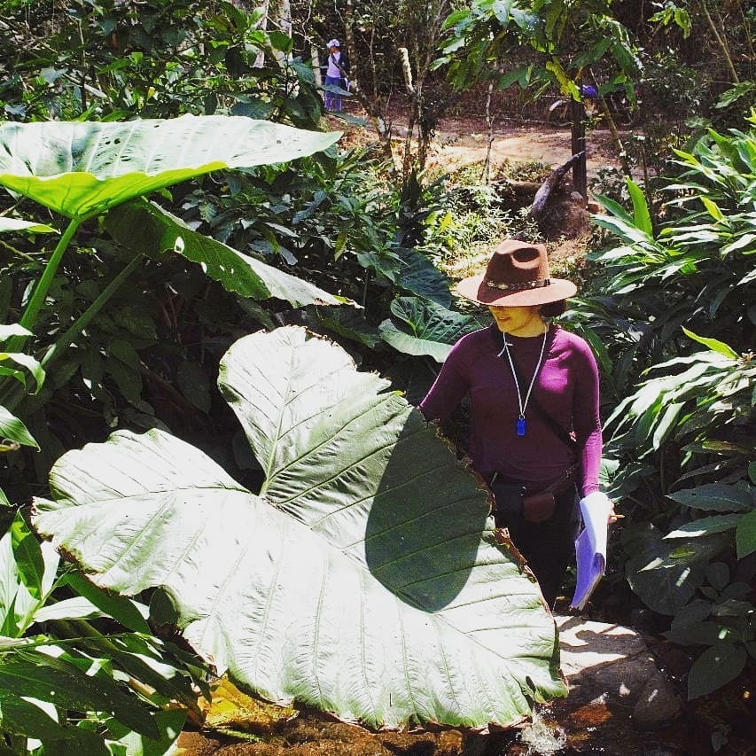Marichuy, Tania y Enya, ingenieras de la región que inspiran con su ...