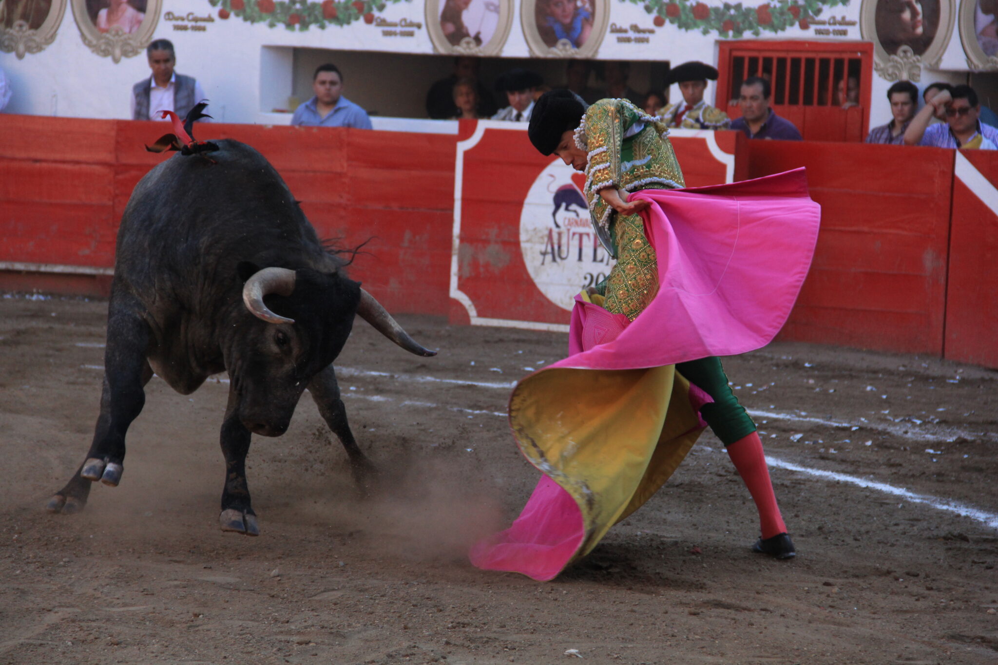 Está chido que haya toros en Autlán - Letra Fría