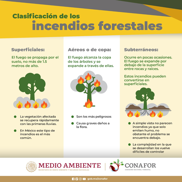 A Ciencia Cierta Incendios Forestales Letra Fría