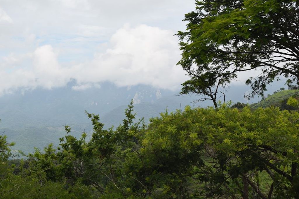 Anuncian reapertura de La Ciénega en Sierra de Quila - Letra Fría