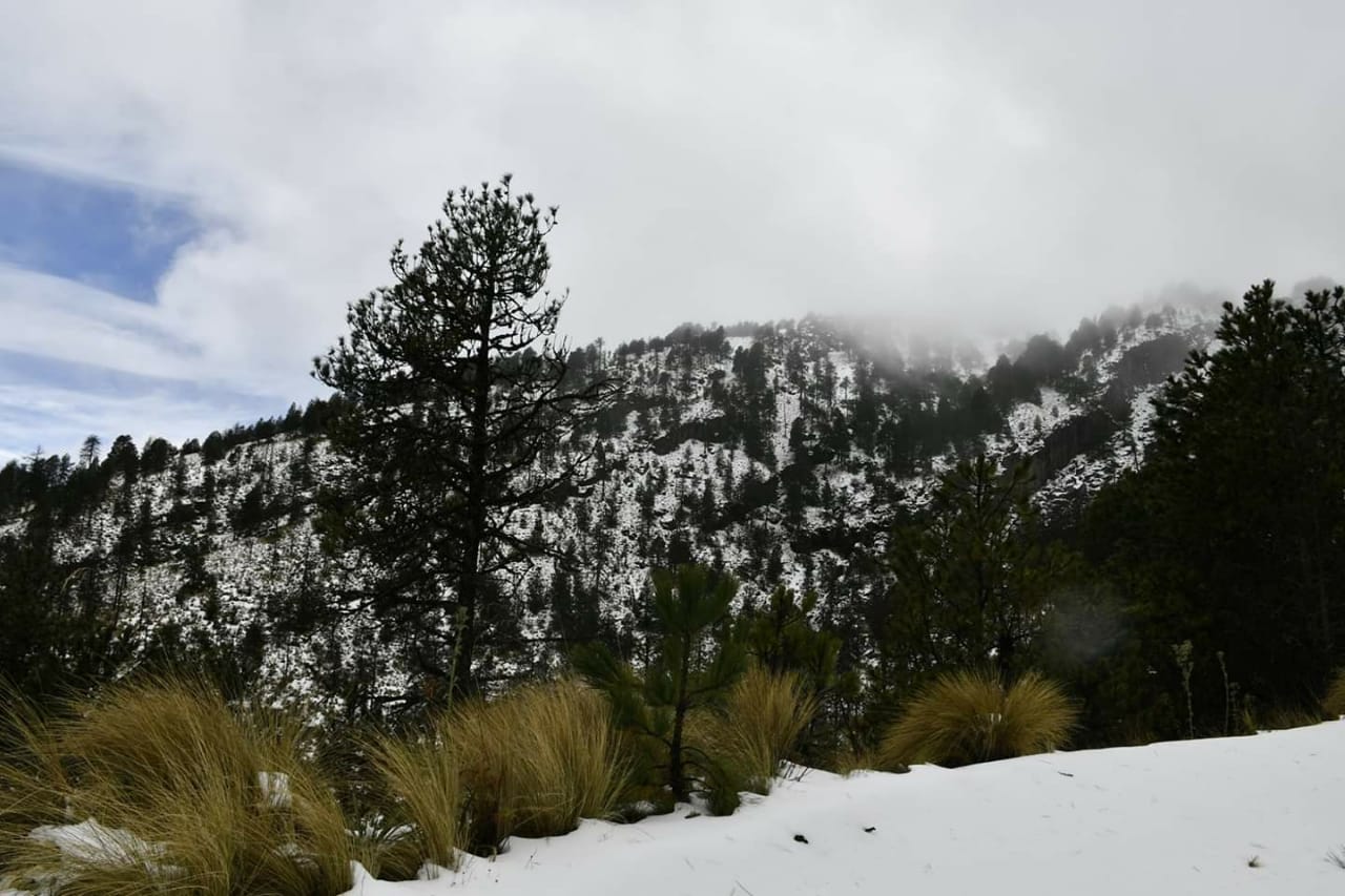 Reabren el Nevado de Colima al público - Letra Fría